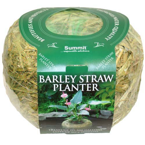 Summit Barley Straw Planters – Pond PIants Online