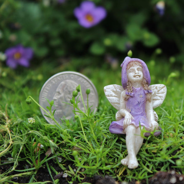 Itty Bitty Betty – Pond PIants Online